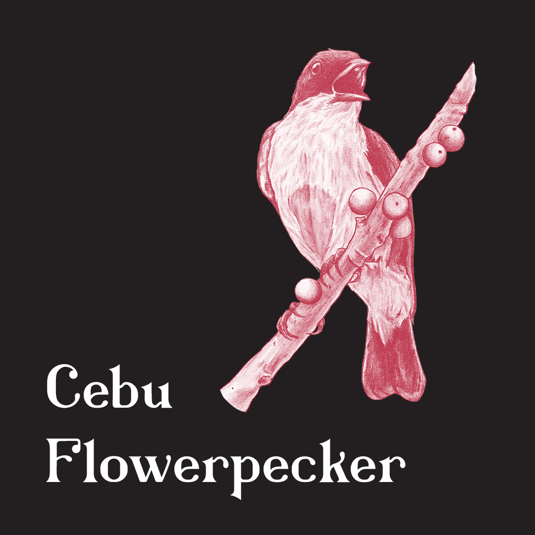 Creative work | 420 cebu flowerpecker | CREATEPhilippines: Promoting ...